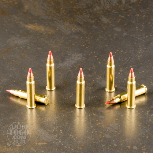 17 HMR Ammo - 50 Rounds of 17 Grain V-MAX by Hornady