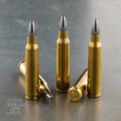 223 Remington Ammo - 20 Rounds of 41 Grain Hollow Point by RBCD ...