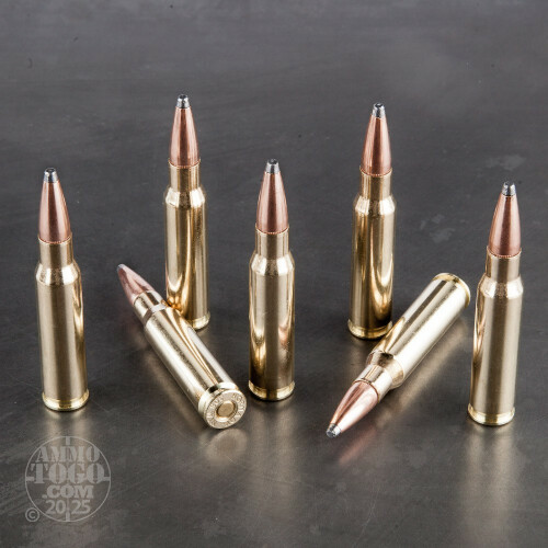 308 Winchester (7.62X51) Ammo - 200 Rounds of 165 Grain Soft-Point (SP ...