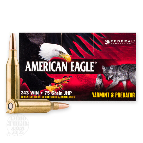243 Winchester Ammo - 40 Rounds of 75 Grain Jacketed Hollow-Point (JHP ...