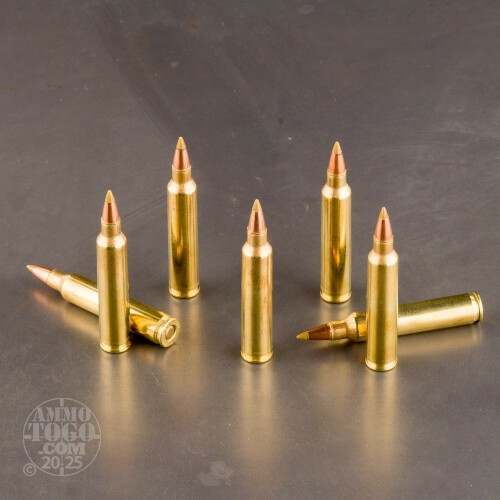 204 Ruger Polymer Tipped Ammo for Sale by Remington - 20 Rounds