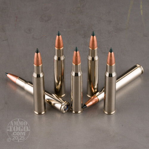 30-06 Ammo - 20 Rounds of 165 Grain Solid Copper by Federal