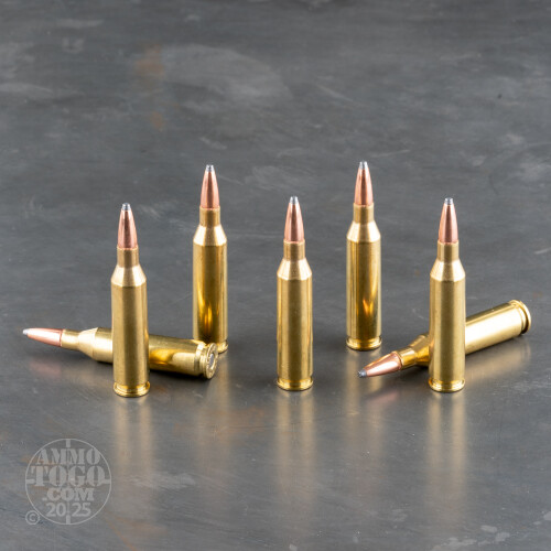 243 Winchester Ammo - 200 Rounds of 100 Grain Soft-Point Boat Tail (SP ...