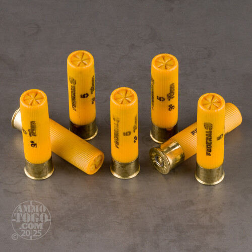20 Gauge Ammo - 250 Rounds of 1-1/4 oz. #5 Shot by Federal