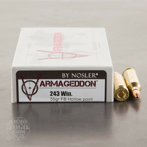 243 Winchester Ammunition for Sale. Nosler Ammunition 55 Grain Flat ...