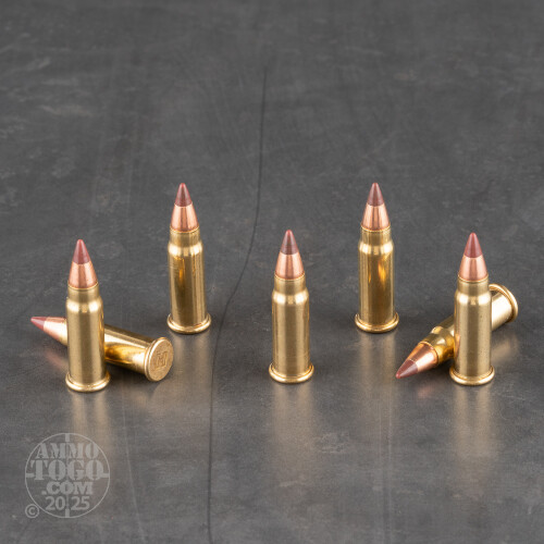 17 HM2 (Mach 2) Ammunition for Sale. Hornady 15.5 Grain NTX - 50 Rounds