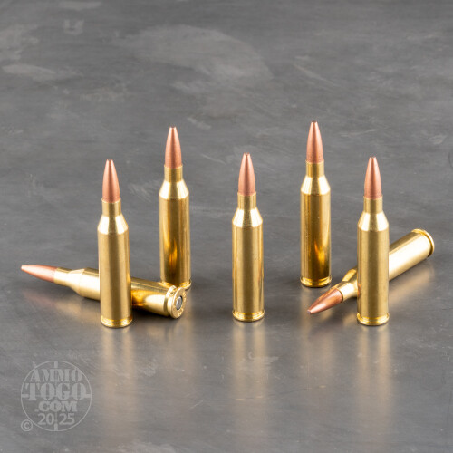 243 Winchester Ammo - 200 Rounds of 95 Grain Fusion by Federal