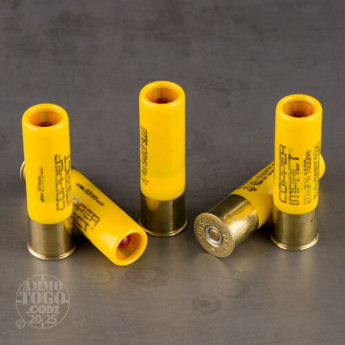 20 Gauge Ammo - 5 Rounds of 3/4 oz. Sabot Slug by Winchester