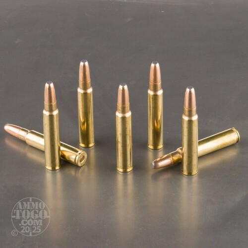 375 Ruger DGX Ammo for Sale by Hornady - 20 Rounds