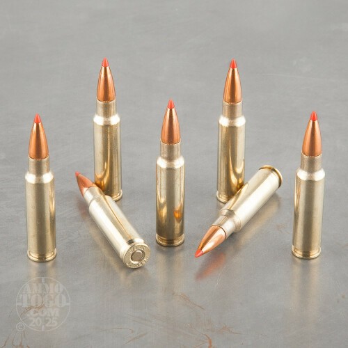 30 Thompson Center SST Ammo for Sale by Hornady - 20 Rounds