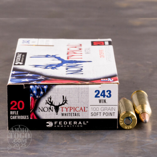 243 Winchester Soft-Point (SP) Ammo for Sale by Federal - 20 Rounds