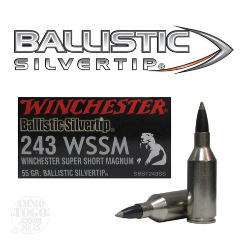 243 WSSM Ammo - 20 Rounds of 55 Grain Polymer Tipped by Winchester