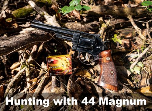 44 Magnum Ammo for Sale - AmmoToGo.com